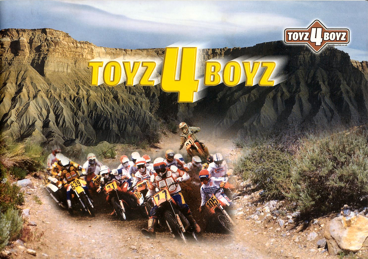 Toyz 4 Boys brochure