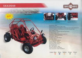 Toyz 4 Boys brochure